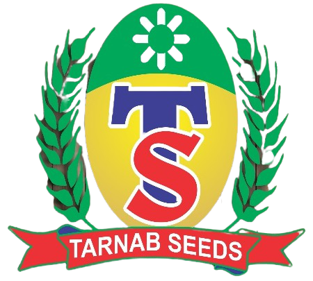 Tarnab Seeds